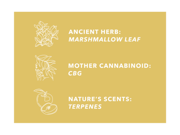 Multi Pack Premium Herbal+ Mixer | 3 Favorites